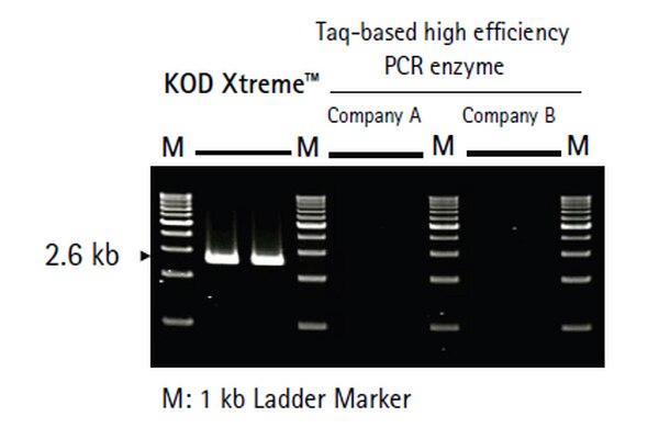 Novagen® KOD Polymerase PCR Systems - Kits y reactivos para PCR y RT-PCR